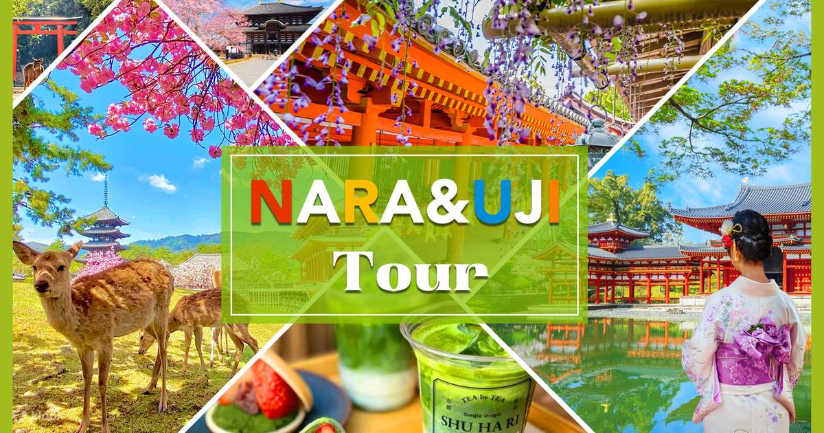 [One-day tour in Nara and Uji] Byodoin Temple, The Tale of Genji Museum, Uji Natural Hot Spring ...